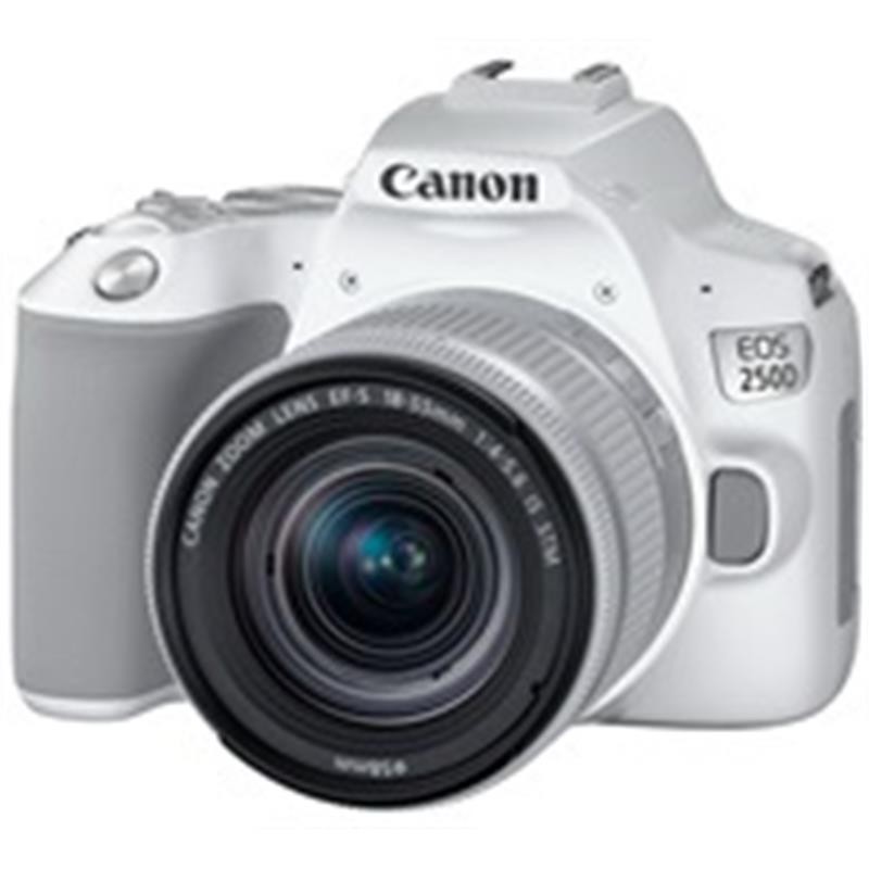 Canon EOS 250D with 18-55mm IS STM Lens Kit+32GB +Bag (Import ...