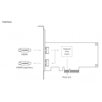 Magewell Pro Capture HDMI 4K Plus Loop-Through Capture Card | Camera2u ...