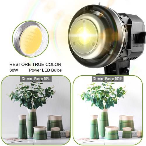 GVM LS-P80S 80W High Power LED Single Light Kit with Filters | Camera2u ...