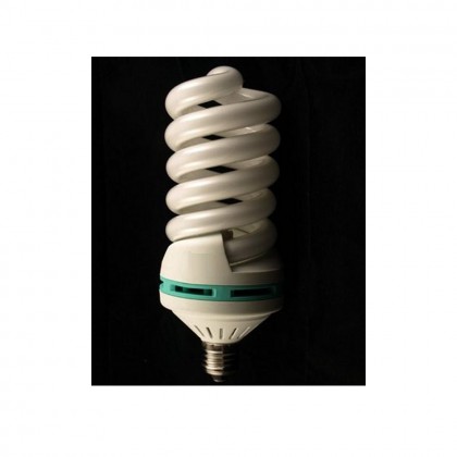 45W Continuous Light Photography Bulb 5500K E27 | Camera2u Malaysia Top ...